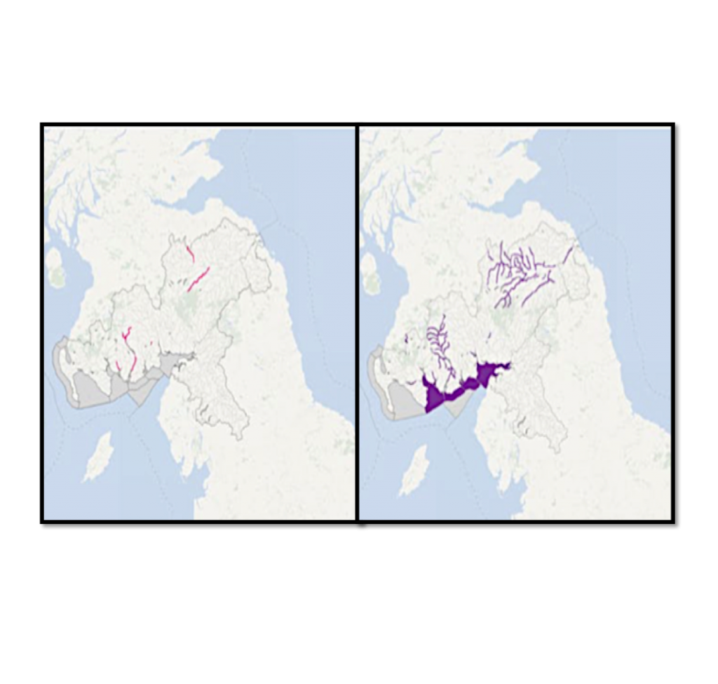 Marine Invasive Non-Native Species | Solway Review