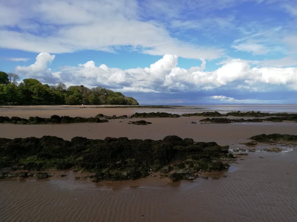 Climate change - Impacts on marine life and processes | Solway Review