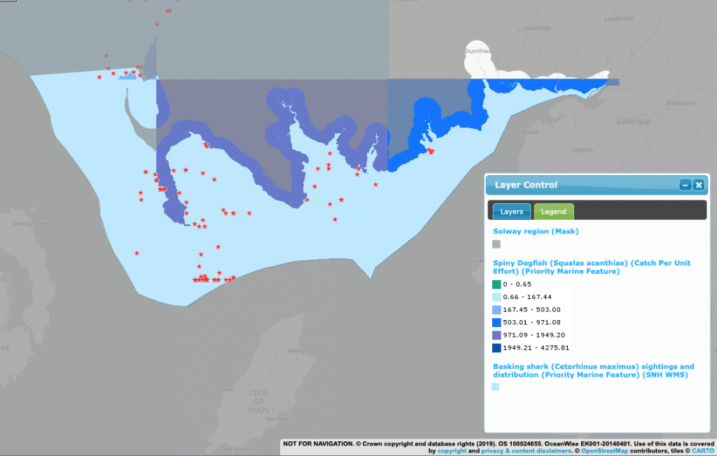 Sharks, skates and rays | Solway Review