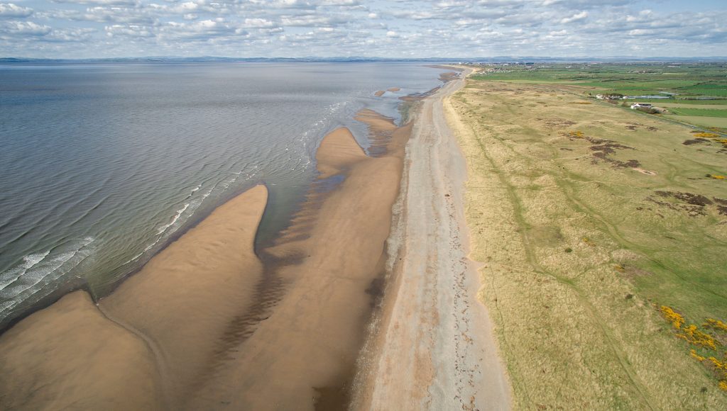 Intertidal rock, sediments and biodiversity | Solway Review