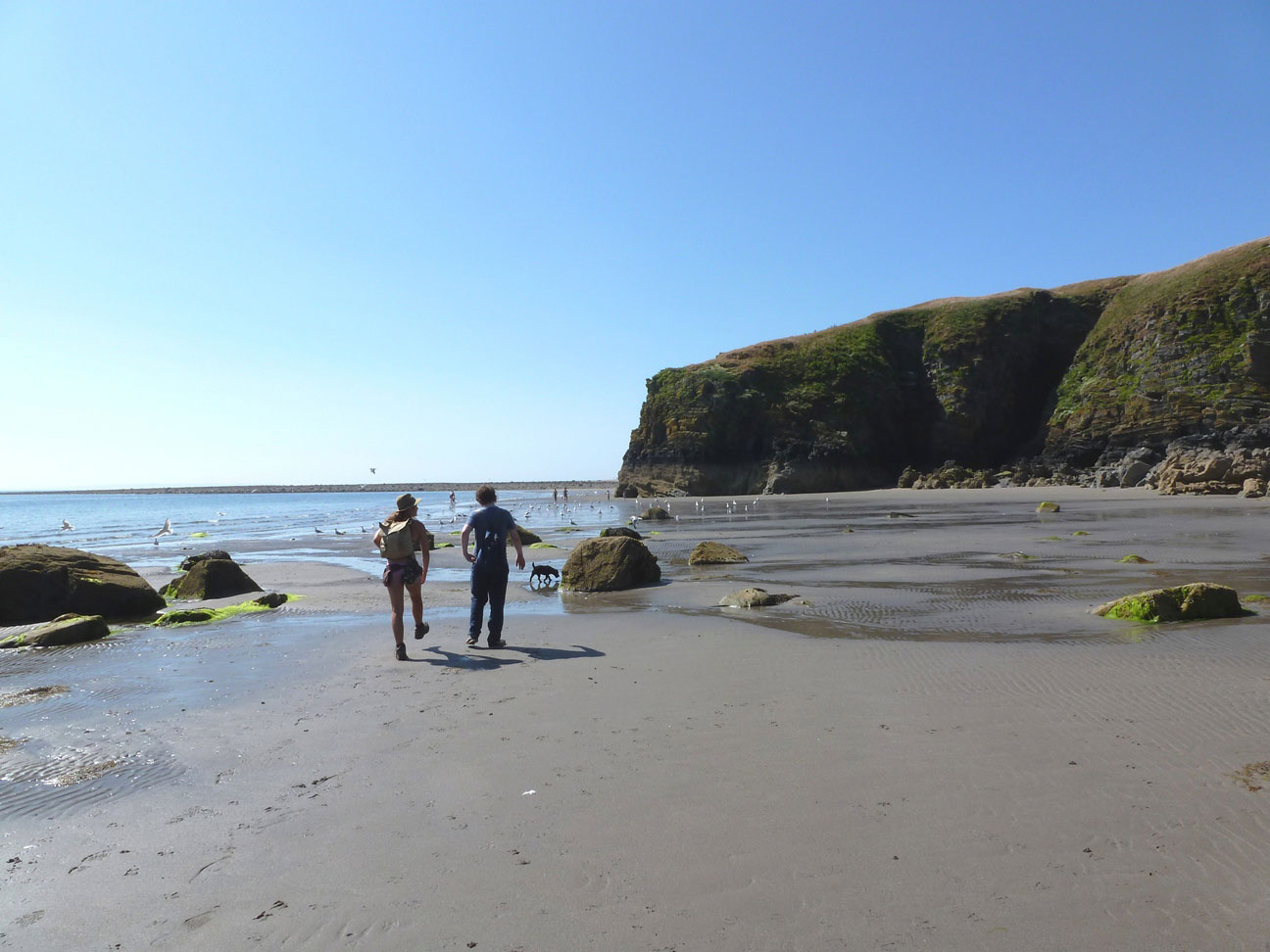 Join Solway Coastwise on Spring Walks and Archaeology Visits - Solway ...