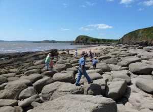 Colvend Coast - Solway Firth Partnership