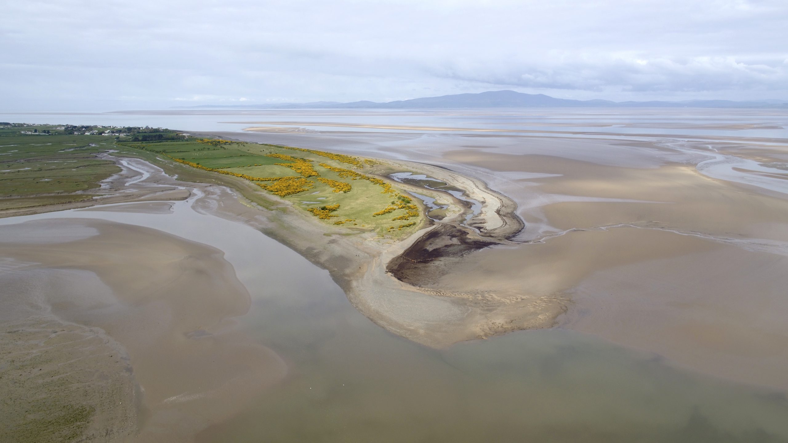 New Solway Coast AONB Management Plan Now Out in Draft - Solway Firth ...
