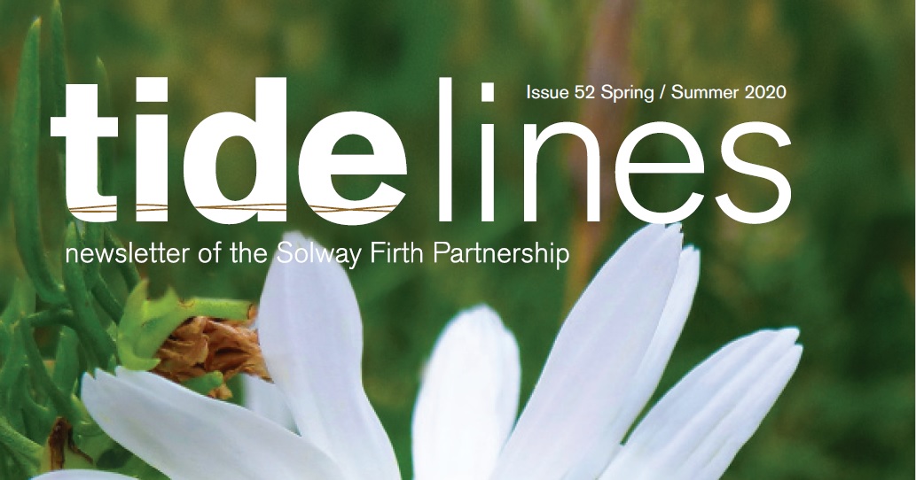 Tidelines Spring / Summer 2020 Now Available to Download - Solway Firth ...