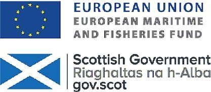 Solway Review Launched - Solway Firth Partnership