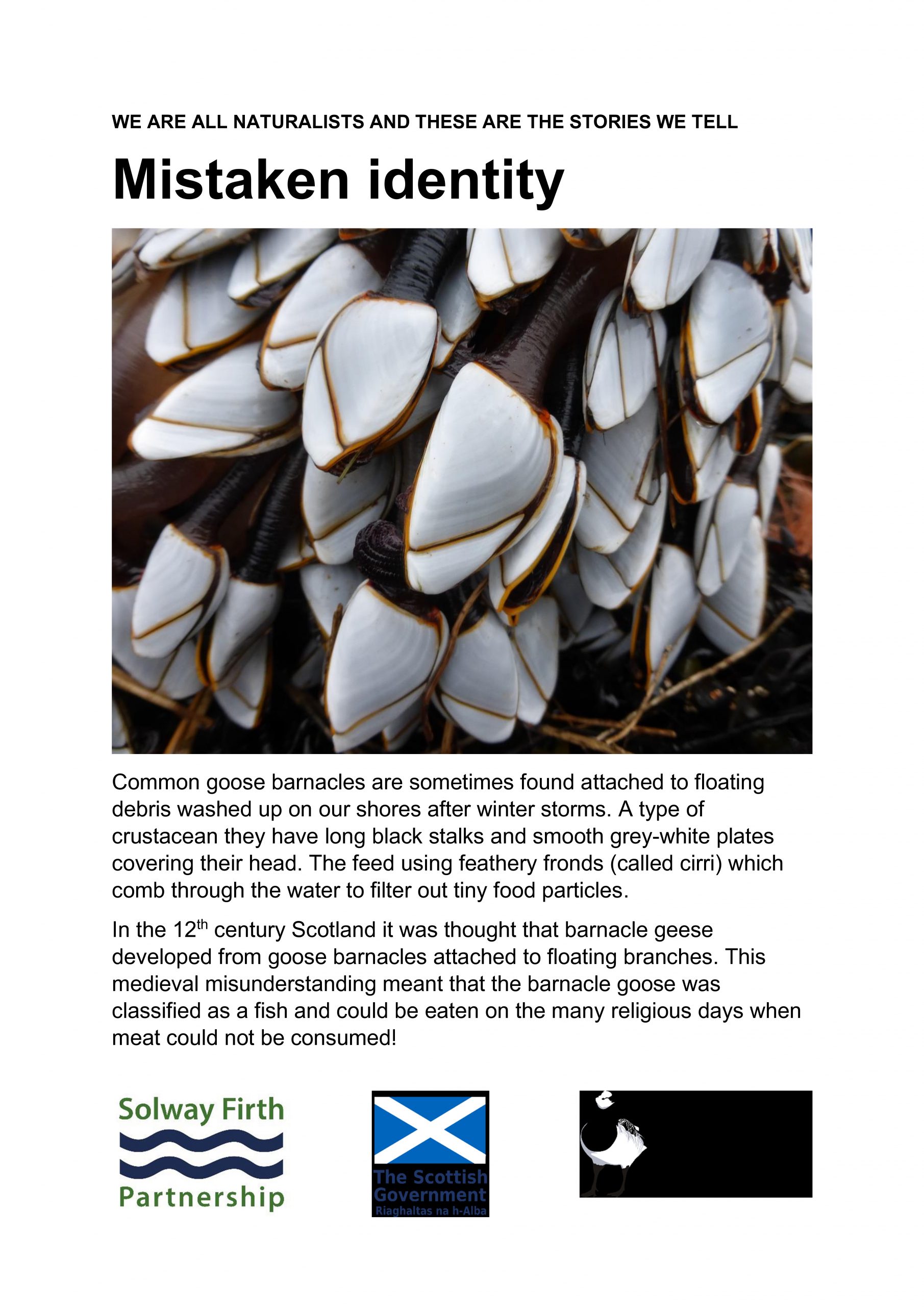 Where did it come from? Strandline Finds - Solway Firth Partnership
