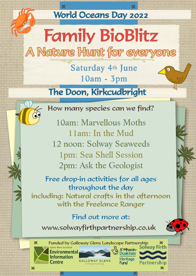Drop into the Bioblitz at Kirkcudbright Bay! - Solway Firth Partnership