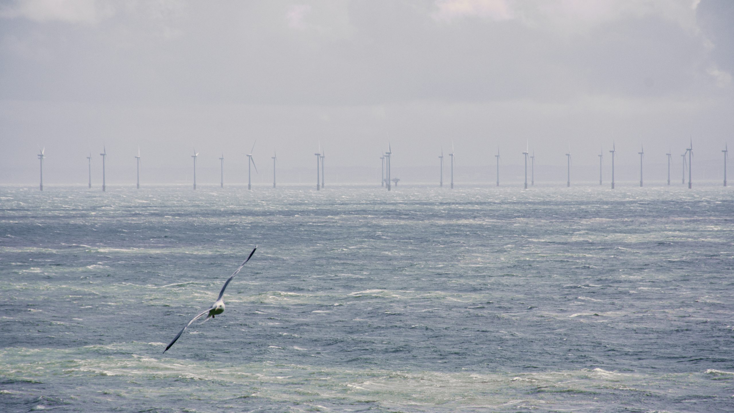 New Round of Robin Rigg Community Fund Opens Today - Solway Firth ...