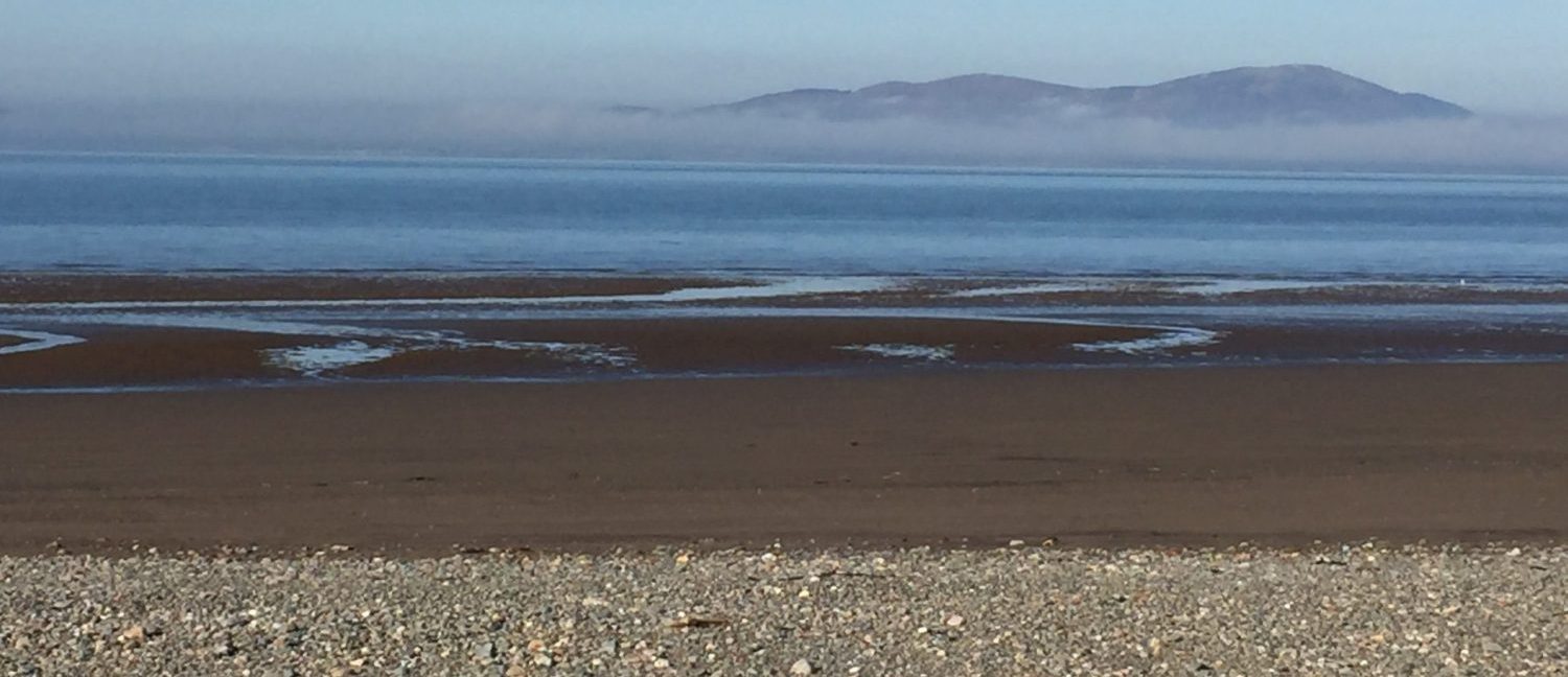 Join the Solway Coast National Landscape Volunteers - Solway Firth ...