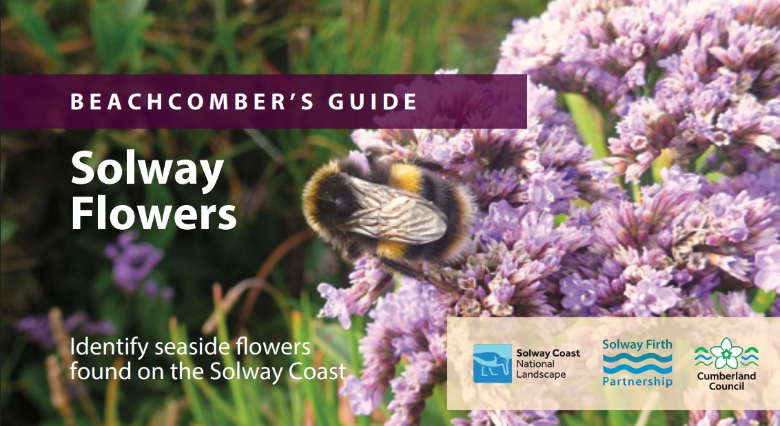Cumbrian Solway Booklets Reprinted - Solway Firth Partnership