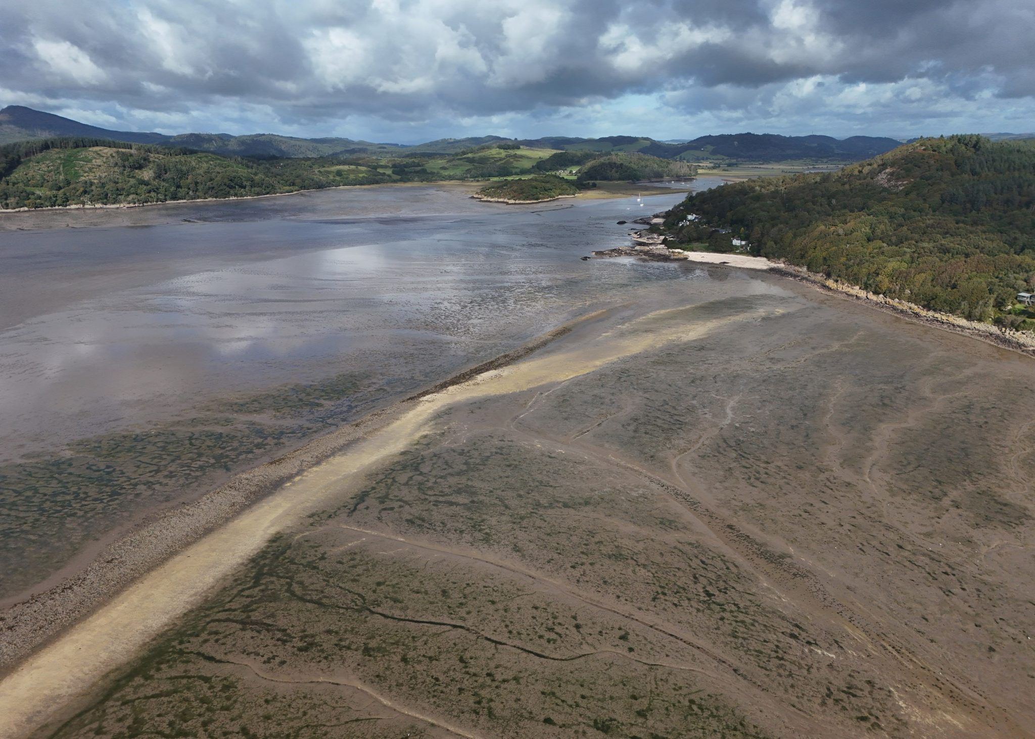 SCAMP: Innovation in Restoration - Solway Firth Partnership